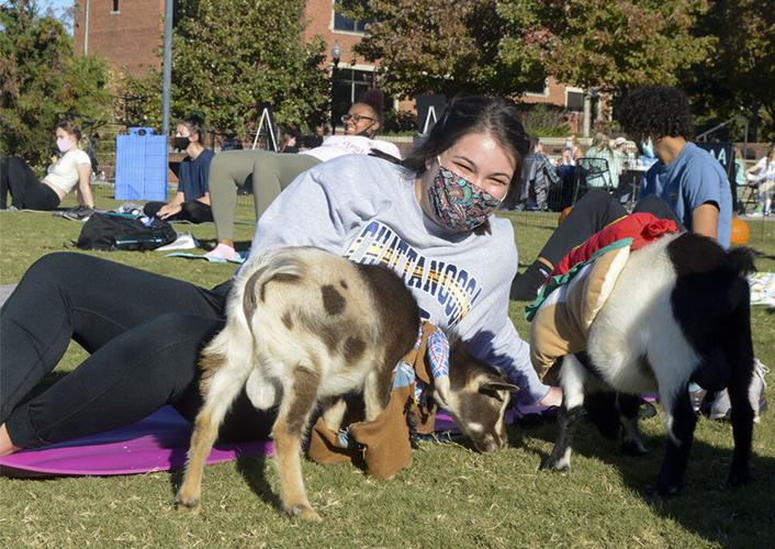 Costumed Goats Help Students Exercise | News | theutcecho.com