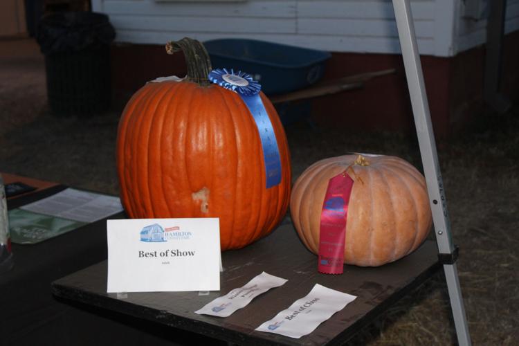 Hamilton County Little Debbie Fair | | theutcecho.com