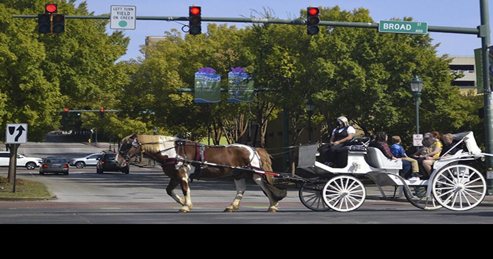 Horses Taught Meagan Bryant What Humans Never Could | Features ...