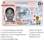 Kiss Your Fake ID Goodbye: Students Weigh in on TN's New Driver's ...