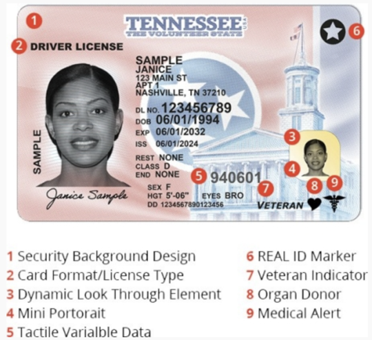 Kiss Your Fake ID Goodbye: Students Weigh in on TN's New Driver's ...