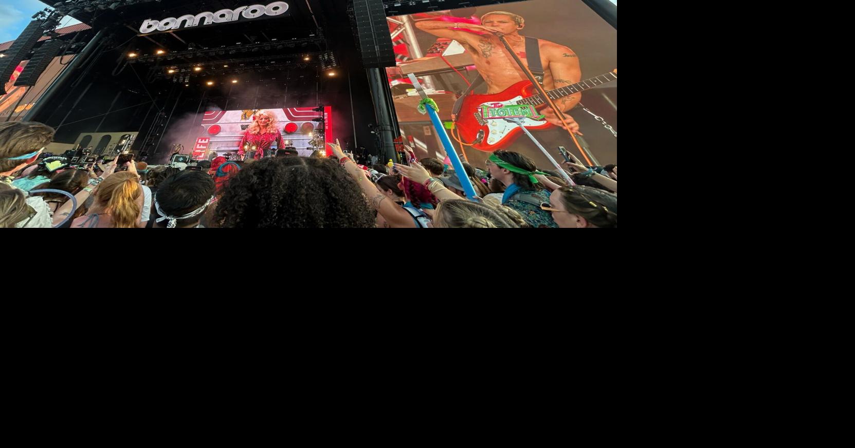 The What, Which, That, This and Other Information on Bonnaroo for UTC ...