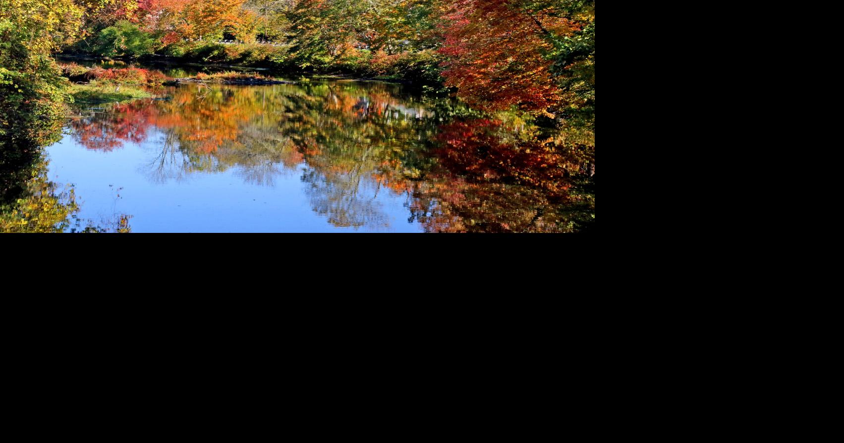 PHOTOS: Fall is in full effect along the Pawcatuck River | Westerly ...