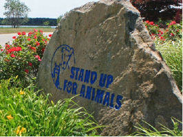 Changes due at Westerly animal shelter after death of family pet | News ...