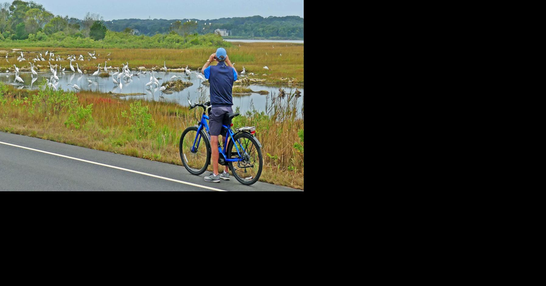PHOTOS: A bird summit on Winnapaug Pond | Westerly | thewesterlysun.com