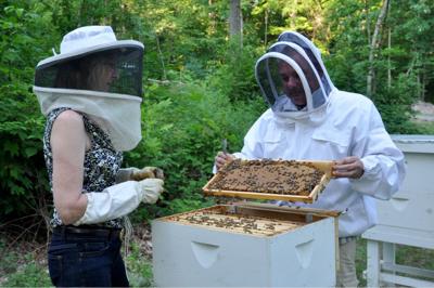 Rhode Island Beekeepers Association to offer Bee School courses ...