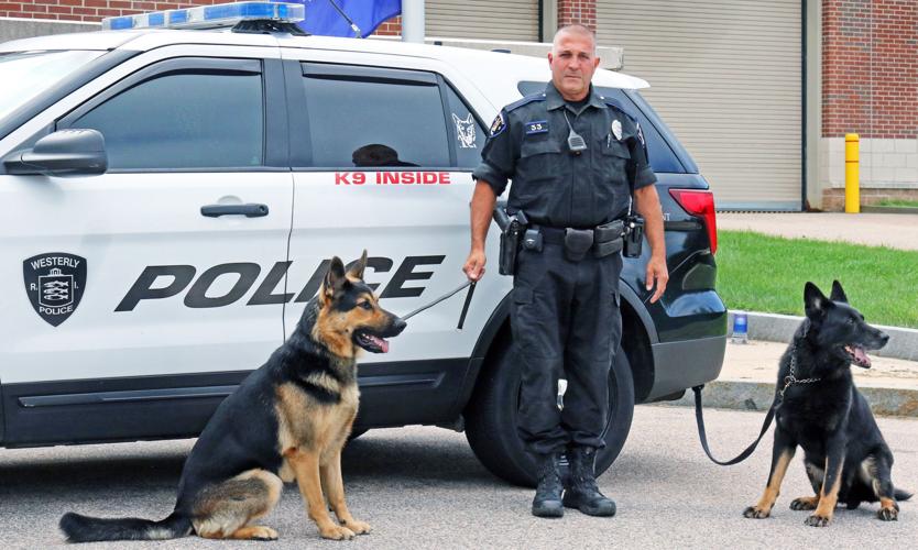 Born to serve: K-9 Primo joins Westerly police after Sipko's retirement ...