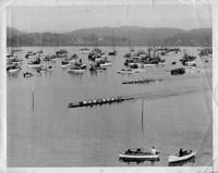 harvard regatta