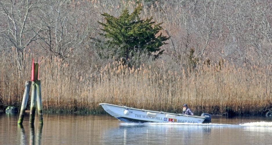 PHOTOS: River coming to life | Daily-news-alerts | thewesterlysun.com
