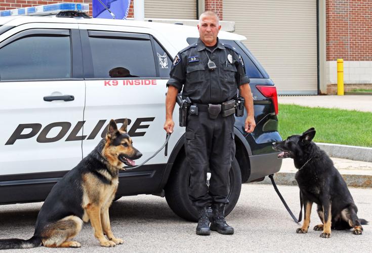 Born to serve: K-9 Primo joins Westerly police after Sipko's retirement ...