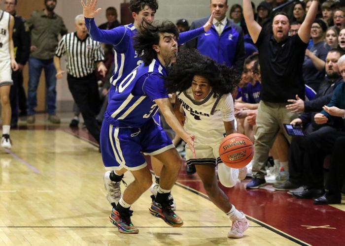 Boys basketball: Bransford (18 points) comes up big for Lions in state ...