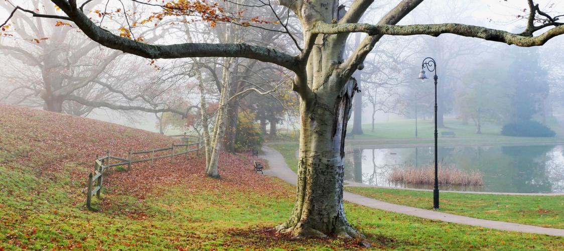 PHOTOS: Flashing back to a misty autumn morning in Wilcox Park ...
