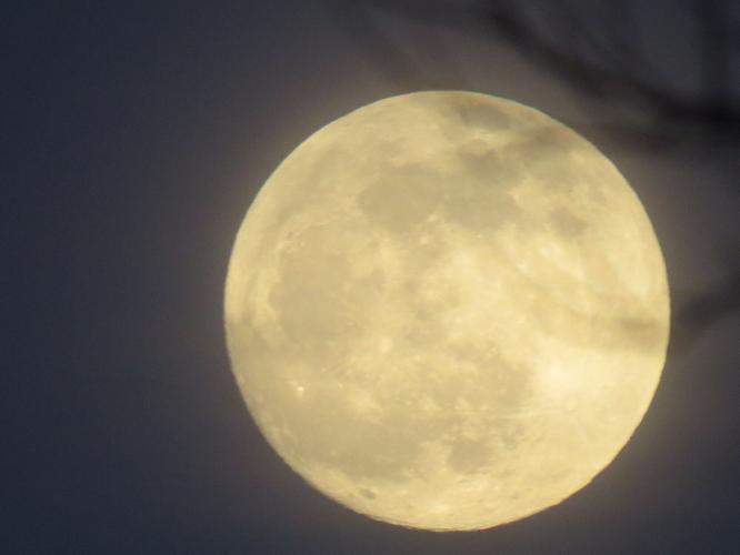 Jim Menzies' moon shots | Front Porch News | thewesterlysun.com