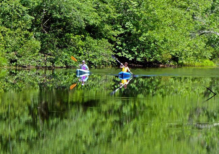 ‘Google of the watershed’ now open 7 days ‘Google of the watershed’ now ...
