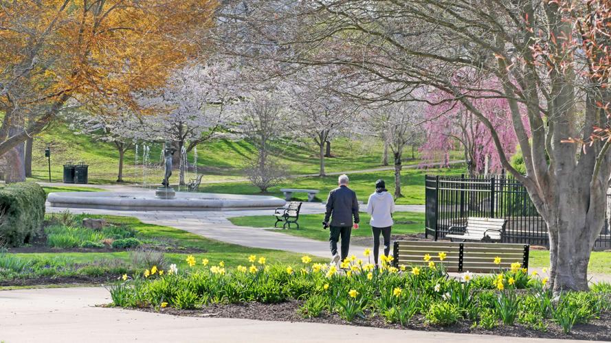 PHOTOS: Springtime in Wilcox Park | Daily-news-alerts | thewesterlysun.com