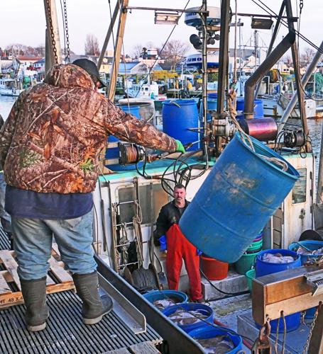 PHOTOS: Unloading the catch | Stonington | thewesterlysun.com