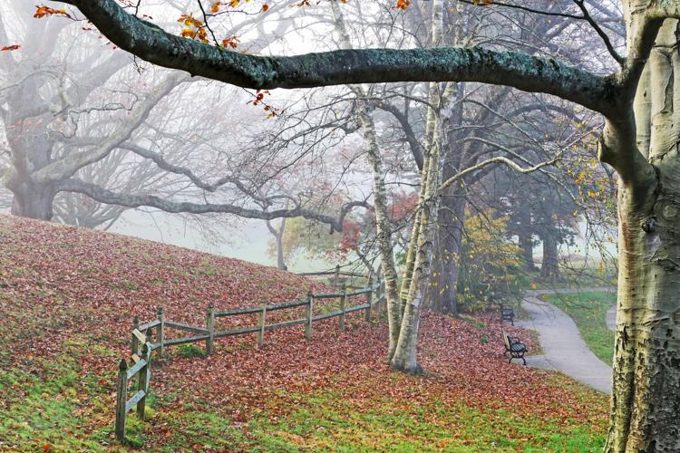 PHOTOS: Flashing back to a misty autumn morning in Wilcox Park ...