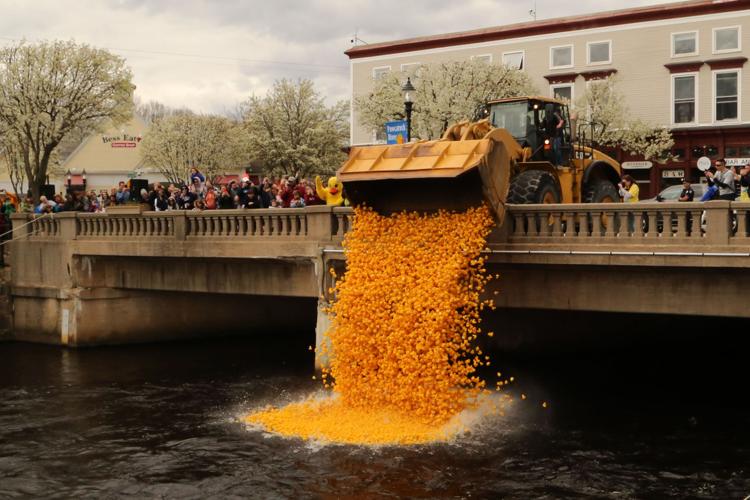 PHOTOS: Ducks make a splash in Pawcatuck at 21st annual river race ...