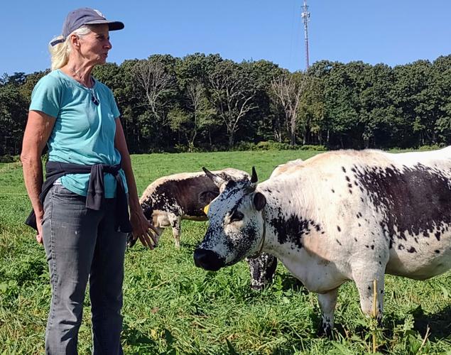 Leaving a legacy: Firefly Farms seeks home for its herd as retirement ...