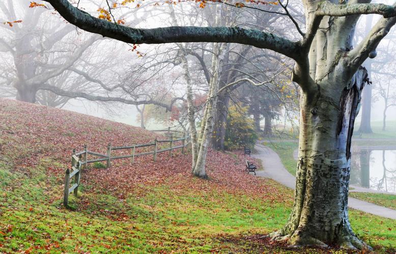 PHOTOS: Flashing back to a misty autumn morning in Wilcox Park ...