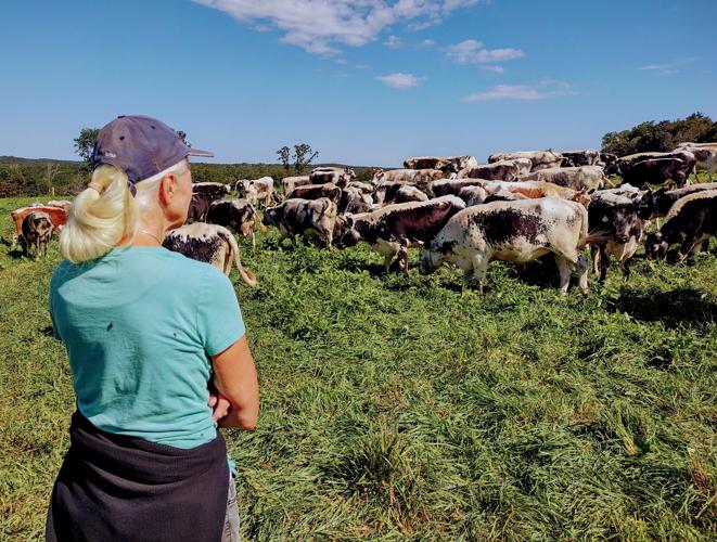 Leaving a legacy: Firefly Farms seeks home for its herd as retirement ...