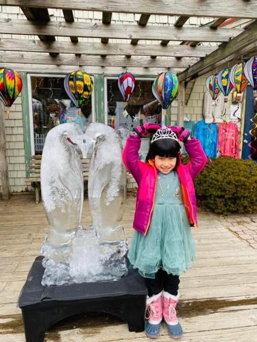 'Ice in the Village' at Olde Mistick Village | Entertainment ...