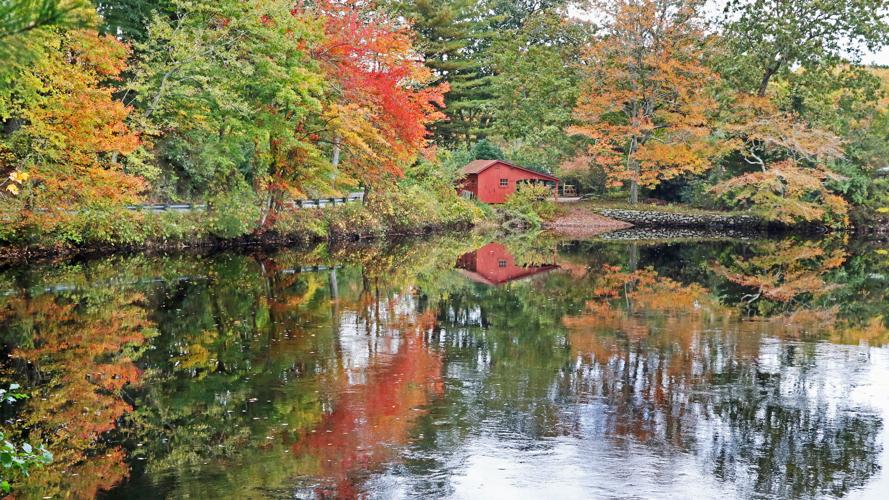 PHOTOS: Autumnal splendor | Westerly | thewesterlysun.com