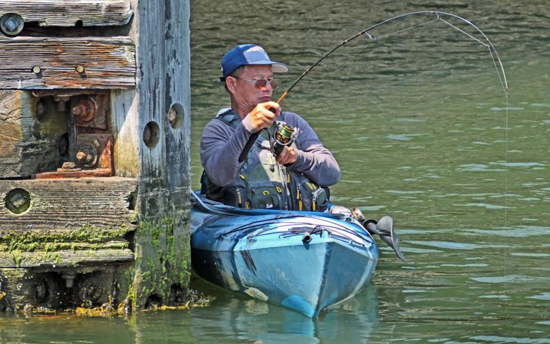 PHOTOS: Under the bridge downtown in Mystic | Stonington ...