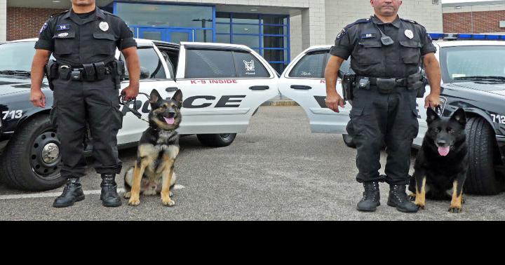 Westerly Police Department K-9 unit back on 12 legs | News ...