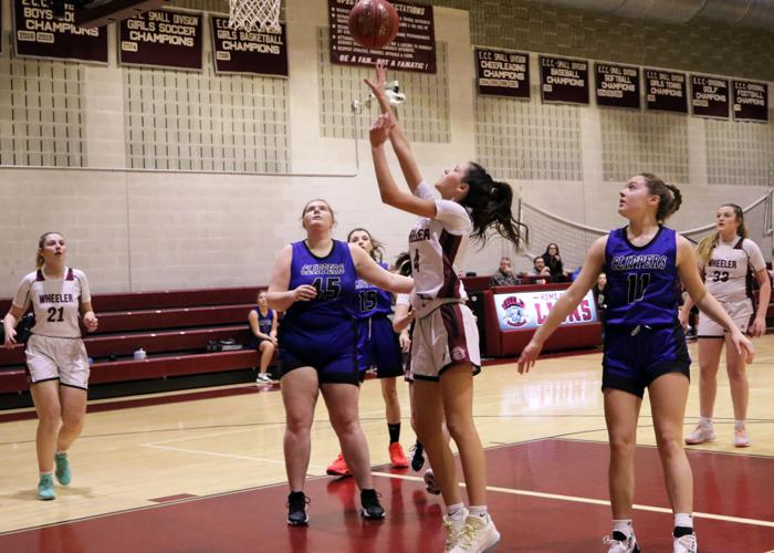 Girls basketball: Wheeler unable to get shots to fall in loss to Putnam ...