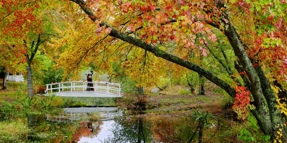 PHOTOS: Keeper of the bridge on Watch Hill Road | Westerly ...