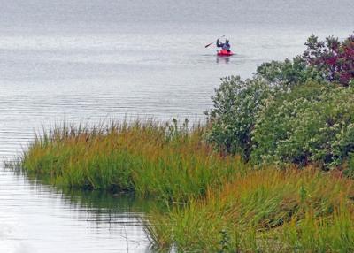 PHOTO: Paddling down the Pawcatuck River | Westerly | thewesterlysun.com