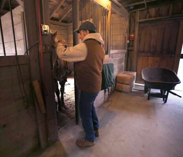 PHOTOS: Horsin' around at Cornerstone Farm | Richmond & Hopkinton ...
