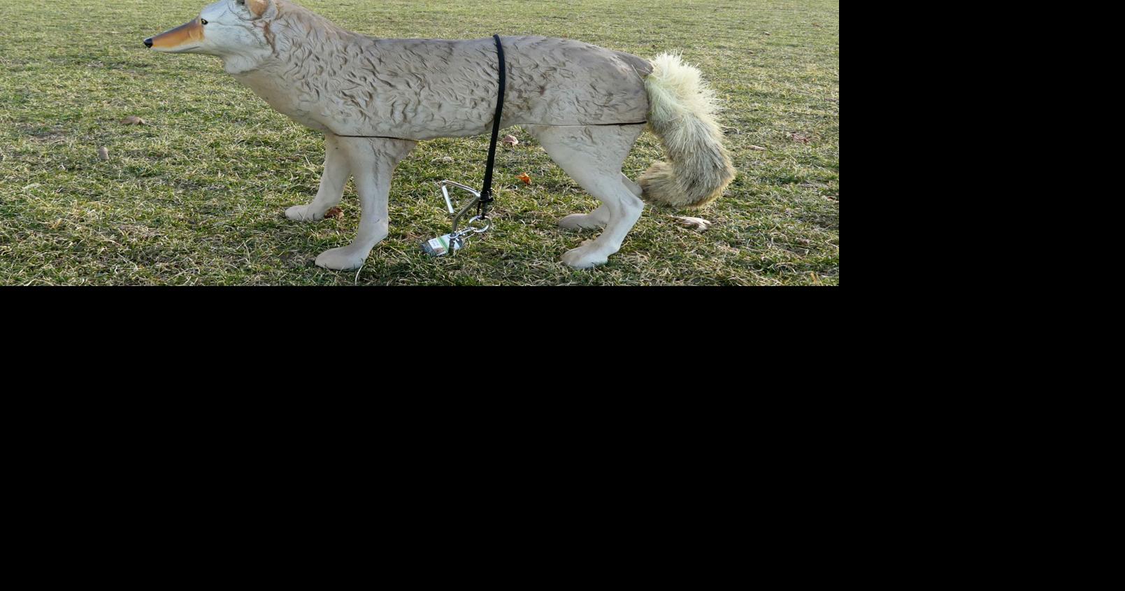 PHOTOS: Hoping to fool the geese | News | thewesterlysun.com