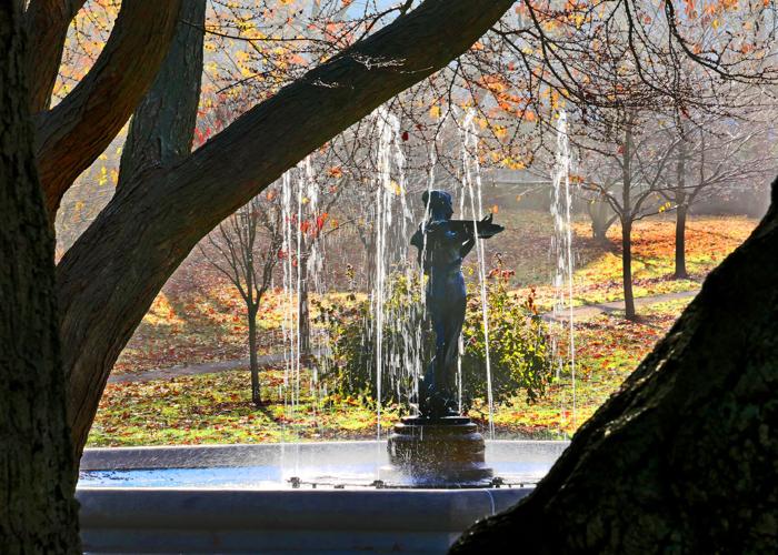 PHOTOS: Flashing back to a misty autumn morning in Wilcox Park ...