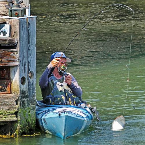 PHOTOS: Under the bridge downtown in Mystic | Stonington ...