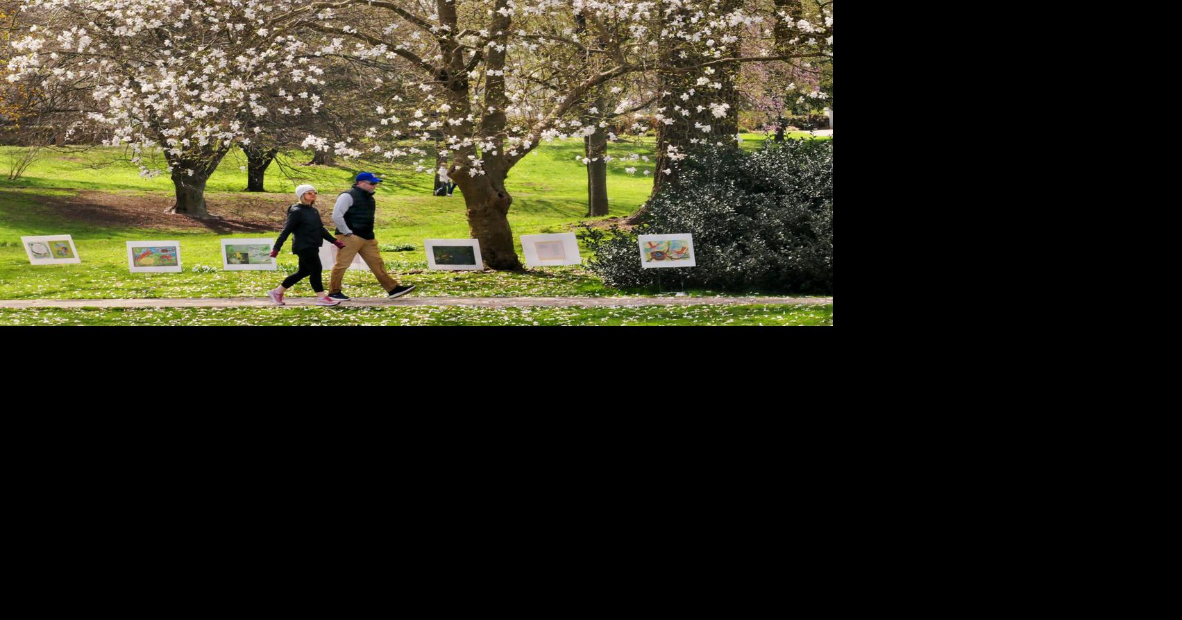 PHOTOS: Springtime Bloom in Wilcox Park | Westerly | thewesterlysun.com