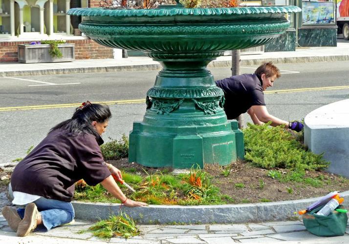 One woman’s quest to clean up a corner in Mystic yields beautiful ...