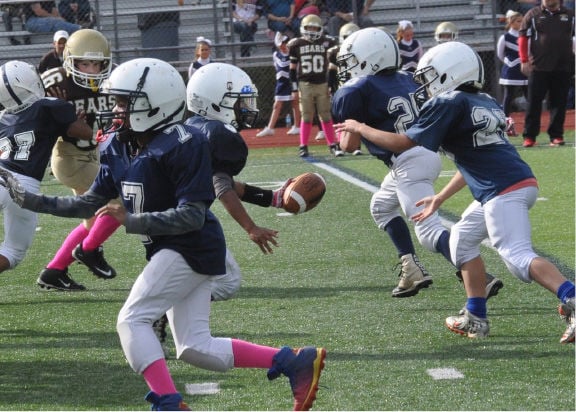 Youth football: Westerly sweeps Stonington | Sports | thewesterlysun.com