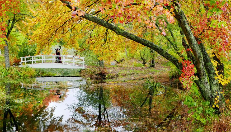 PHOTOS: Keeper of the bridge on Watch Hill Road | Westerly ...