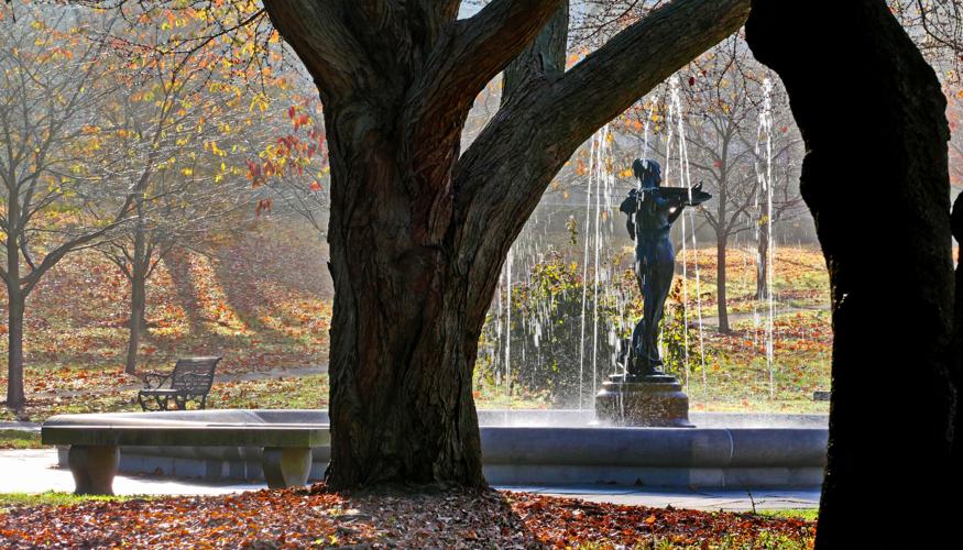 PHOTOS: Flashing back to a misty autumn morning in Wilcox Park ...
