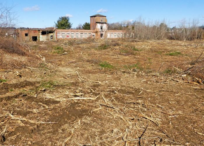 PHOTOS: Mystic Color Lab property cleared | Stonington | thewesterlysun.com