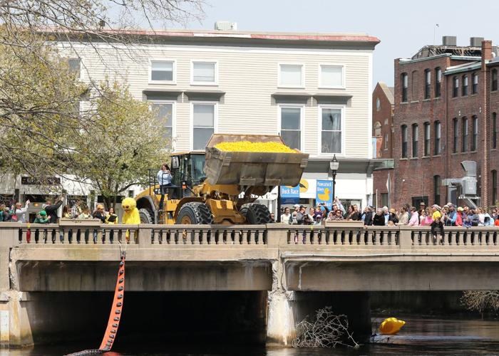 PHOTOS: 2024 Westerly-Pawcatuck Duck Race | Westerly | thewesterlysun.com