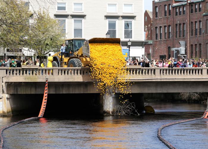 PHOTOS: 2024 Westerly-Pawcatuck Duck Race | Westerly | thewesterlysun.com