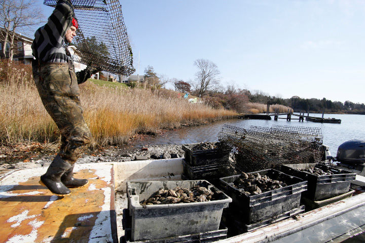 New Rhode Island plan for shellfish is well-received | News ...