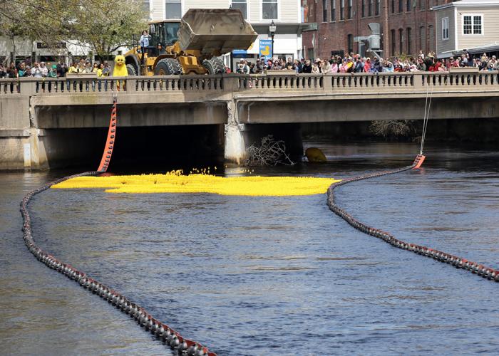 PHOTOS: 2024 Westerly-Pawcatuck Duck Race | Westerly | thewesterlysun.com