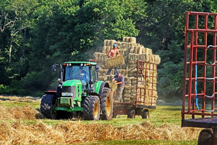 PHOTOS: Lewis Farm crew starts baling hay, better late than never ...