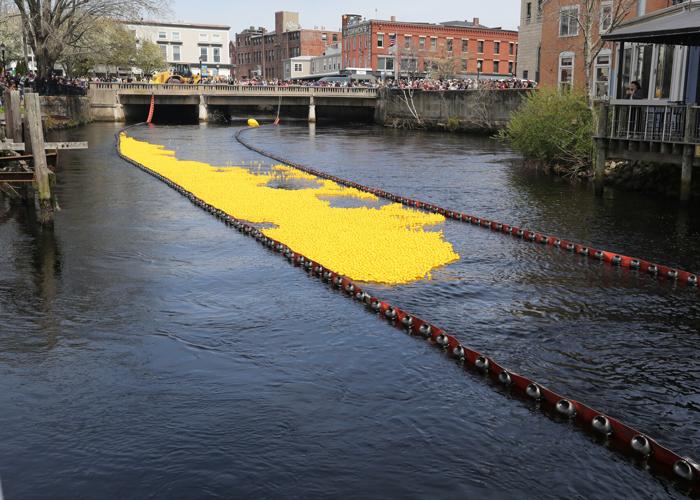 PHOTOS: 2024 Westerly-Pawcatuck Duck Race | Westerly | thewesterlysun.com