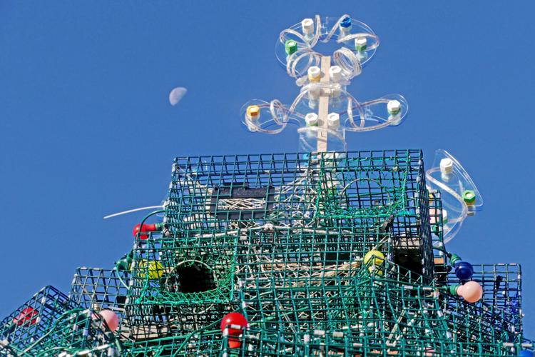 PHOTOS: Moon over Lobster Trap Tree | Stonington | thewesterlysun.com