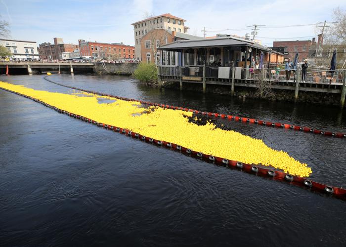 PHOTOS: 2024 Westerly-Pawcatuck Duck Race | Westerly | thewesterlysun.com